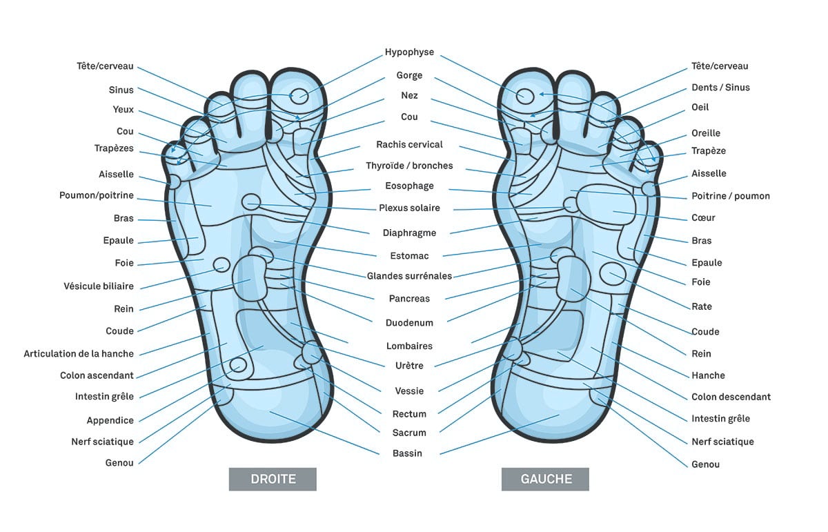 Réflexologie Plantaire Tout Savoir Sur Cette Technique De Massage
