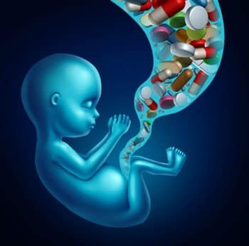 Le placenta : rôle et explications complète de cet organe