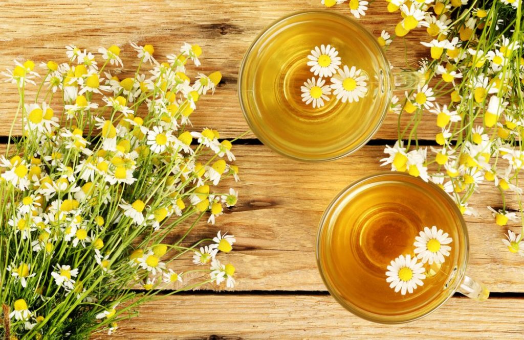 Des tisanes aux fleurs : Quelles fleurs pour quels bienfaits