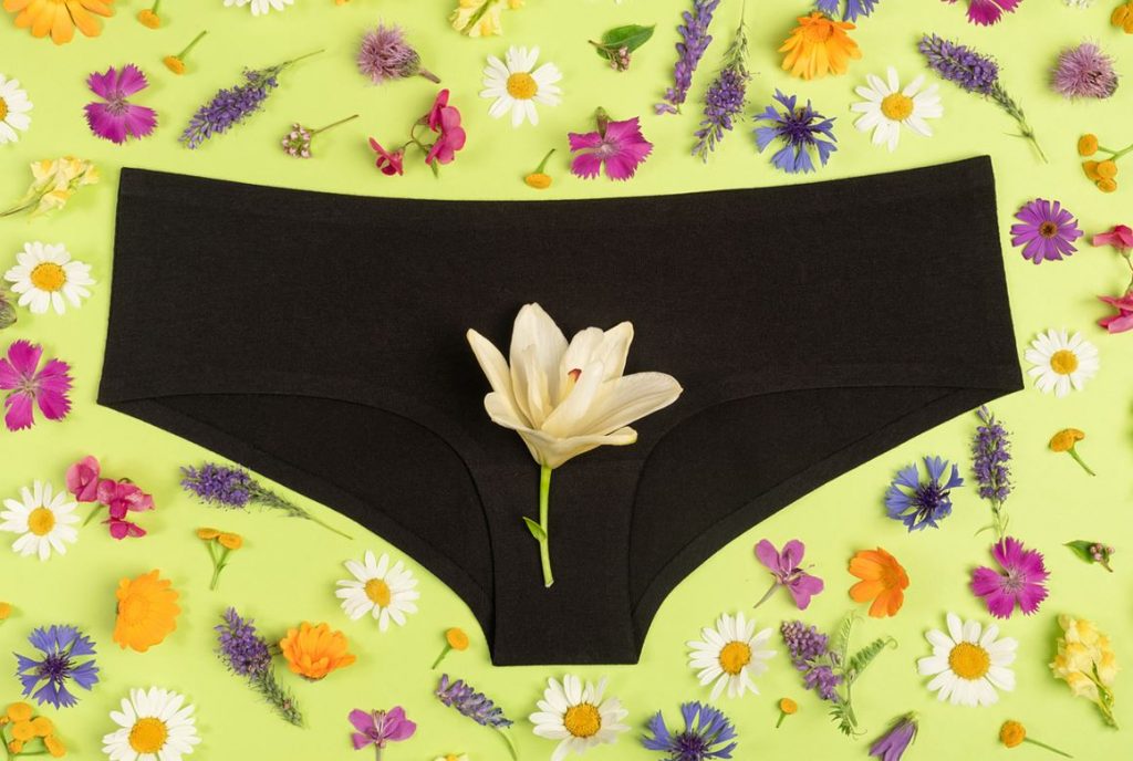 Traitement anticoagulant : les plantes que vous devez éviter