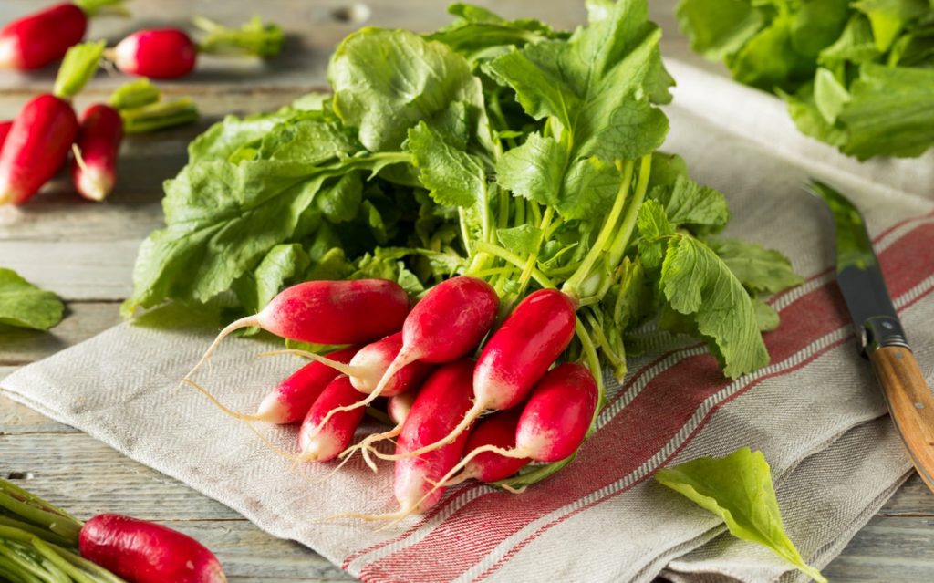 Radis rose : choix, consommation et atouts santé