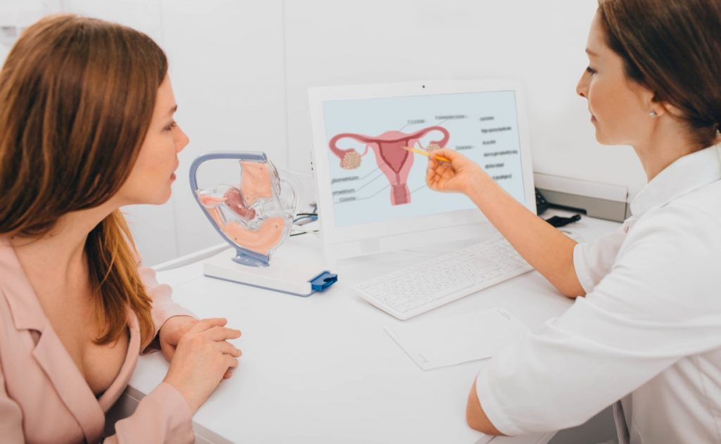 Le vagin : anatomie et plaisir, tout connaître de cet organe